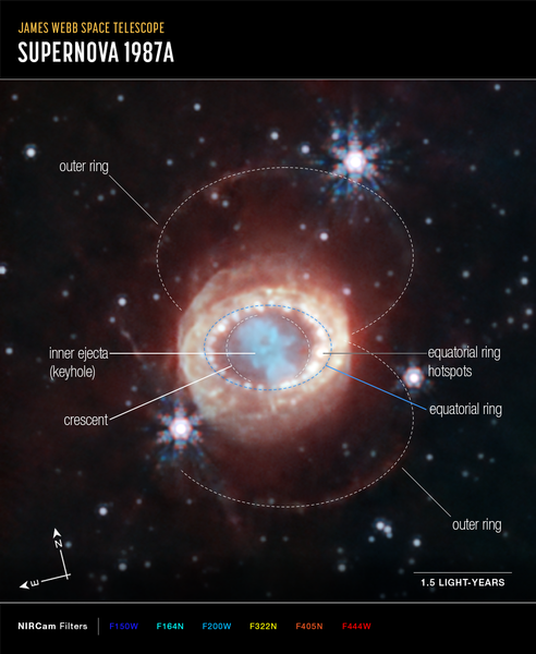 Webb Reveals New Structures Within Iconic Supernova - NASA Science