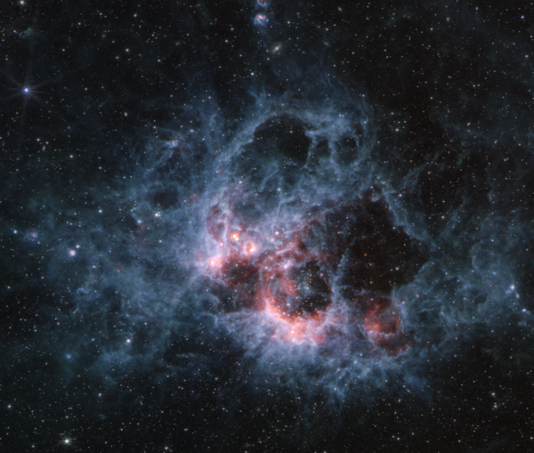 Peering Into the Tendrils of NGC 604 with NASA's Webb - NASA Science