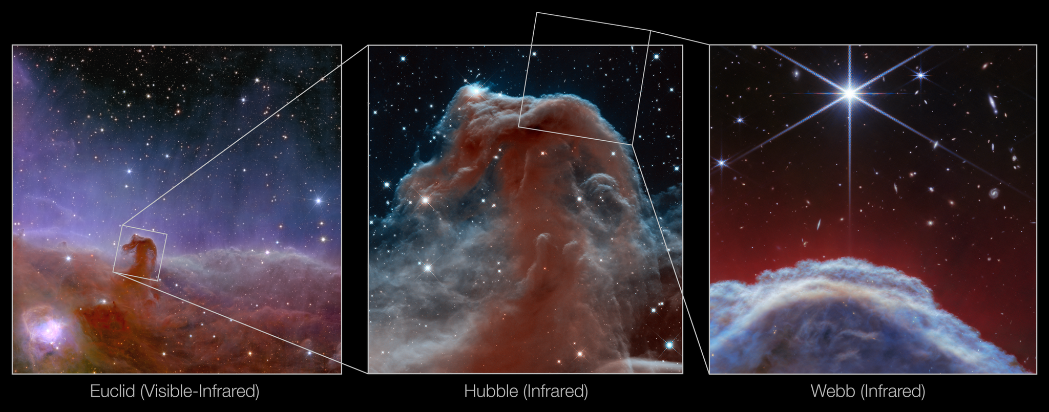 Webb Captures Top of Iconic Horsehead Nebula in Unprecedented Detail - NASA Science