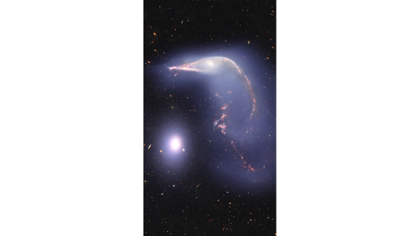 Interacting Galaxies Arp 142 (NIRCam and MIRI Image) - NASA Science