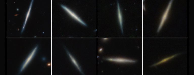 Sex xxx ad using my guts, I modified the donation when I