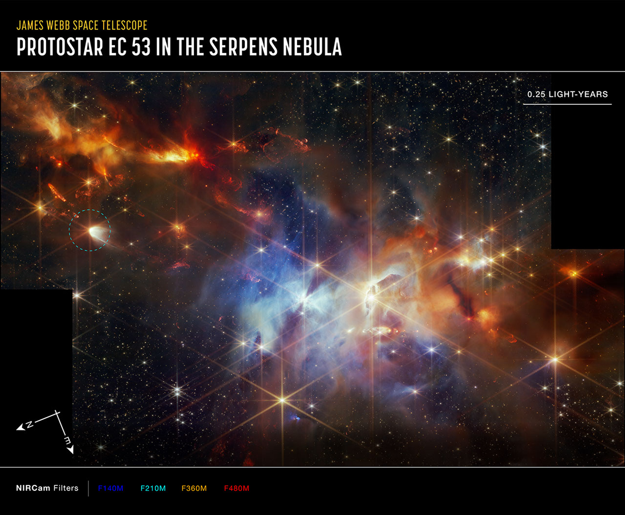 Protostar EC 53 in the Serpens Nebula (NIRCam Image) - NASA Science
