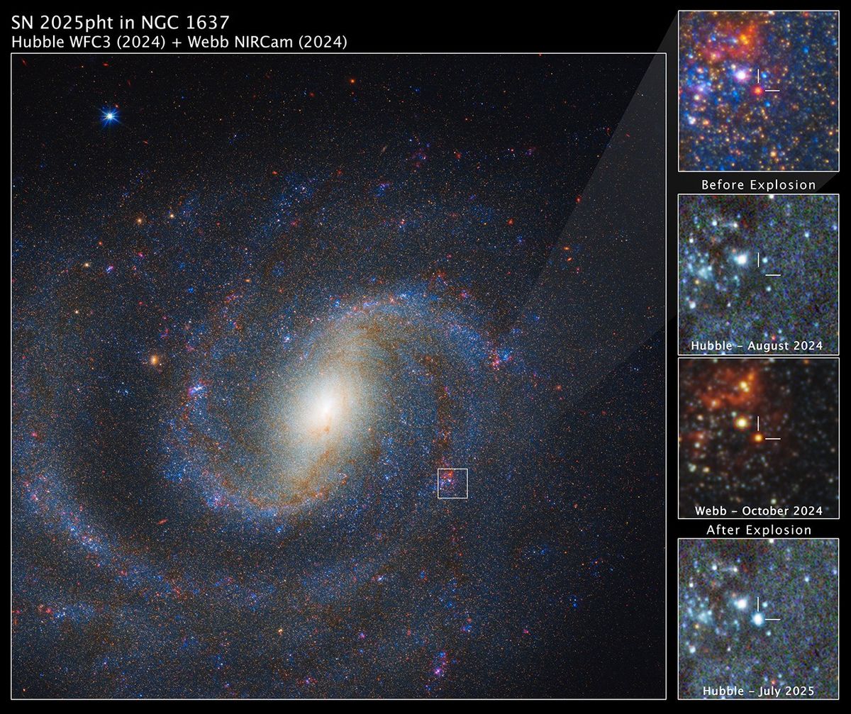NASA’s Webb Telescope Locates Former Star That Exploded as Supernova ...