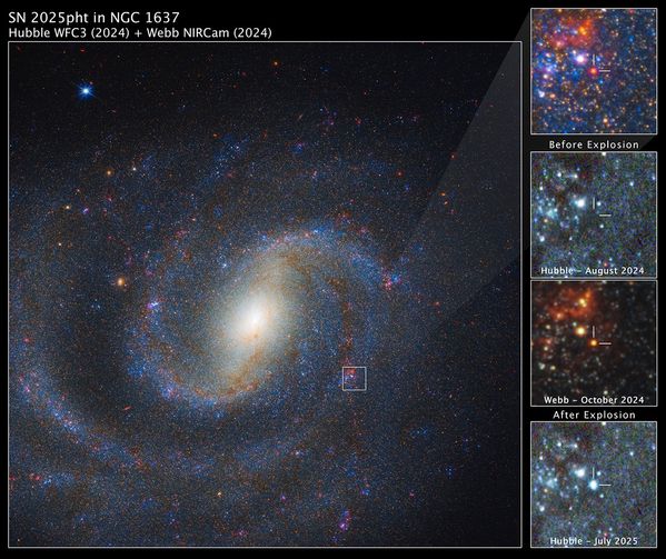 NASA’s Webb Telescope Locates Former Star That Exploded as Supernova ...