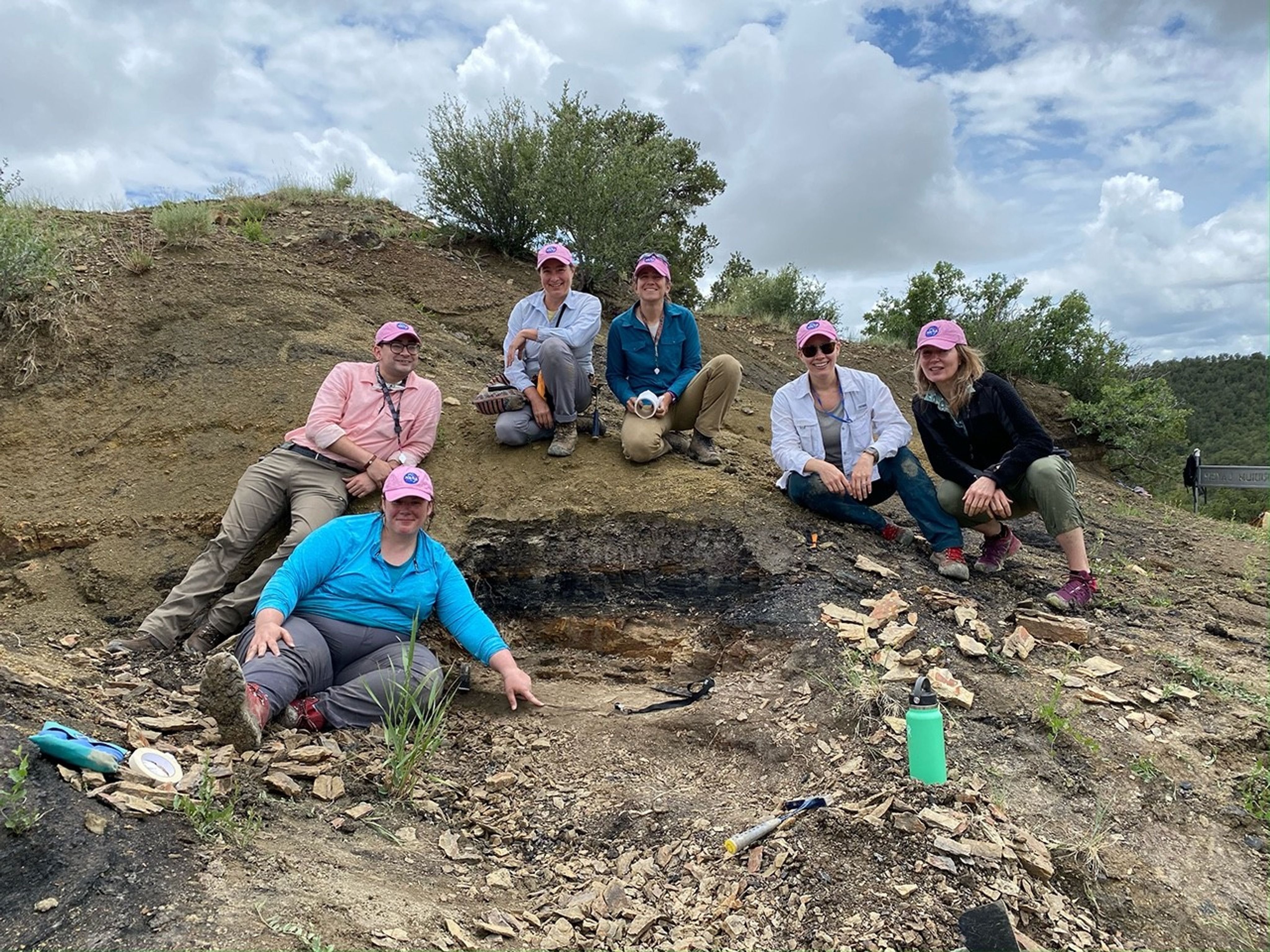 NASA Study Shows Ferns Facilitate Recovery from Environmental Disaster ...