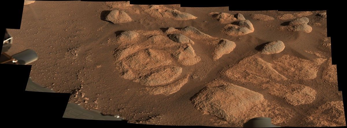 Perseverance's Mastcam-Z Images Intriguing Rocks - NASA Science