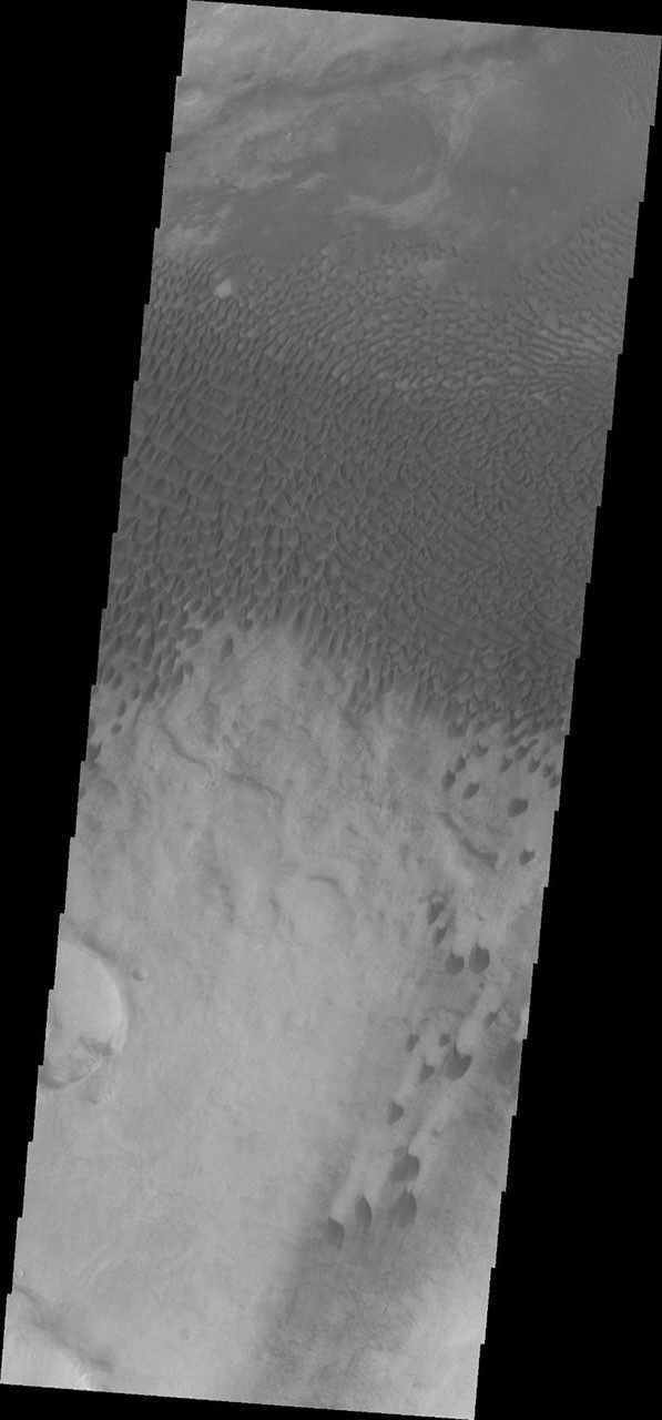 Dunes in Aonia Terra - NASA Science