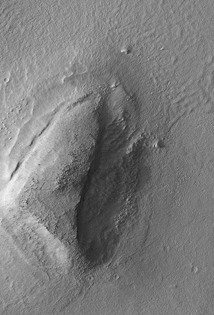 Mars Boulders: On a Hill in Utopia Planitia - NASA Science