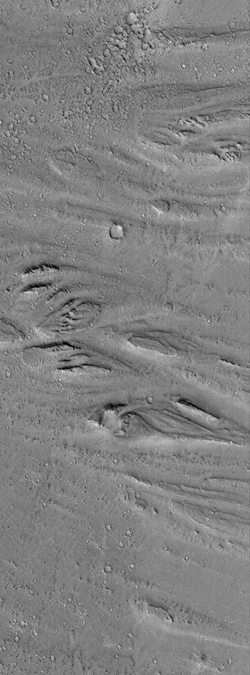 Cerberus Flood Features - NASA Science