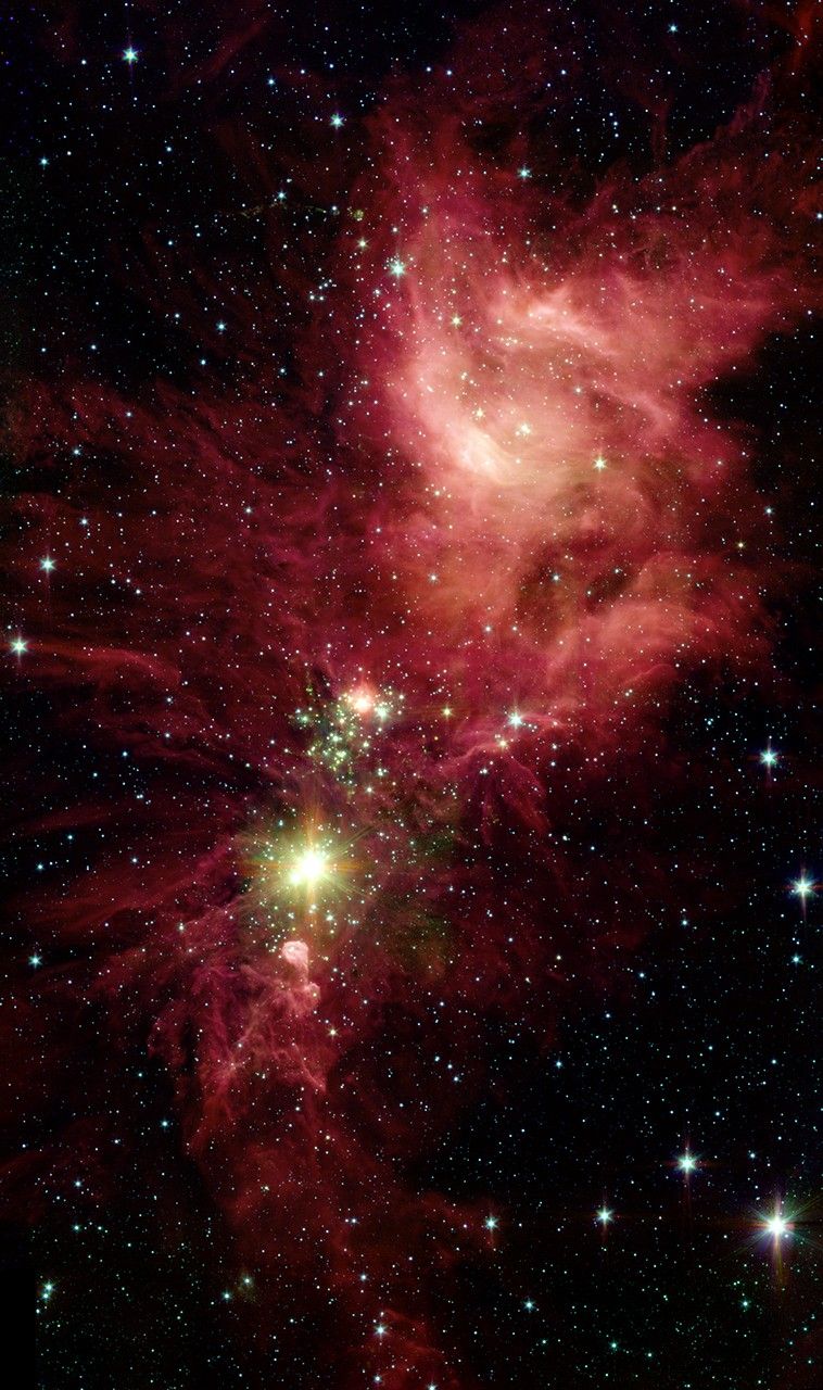Stellar Snowflake Cluster - NASA Science