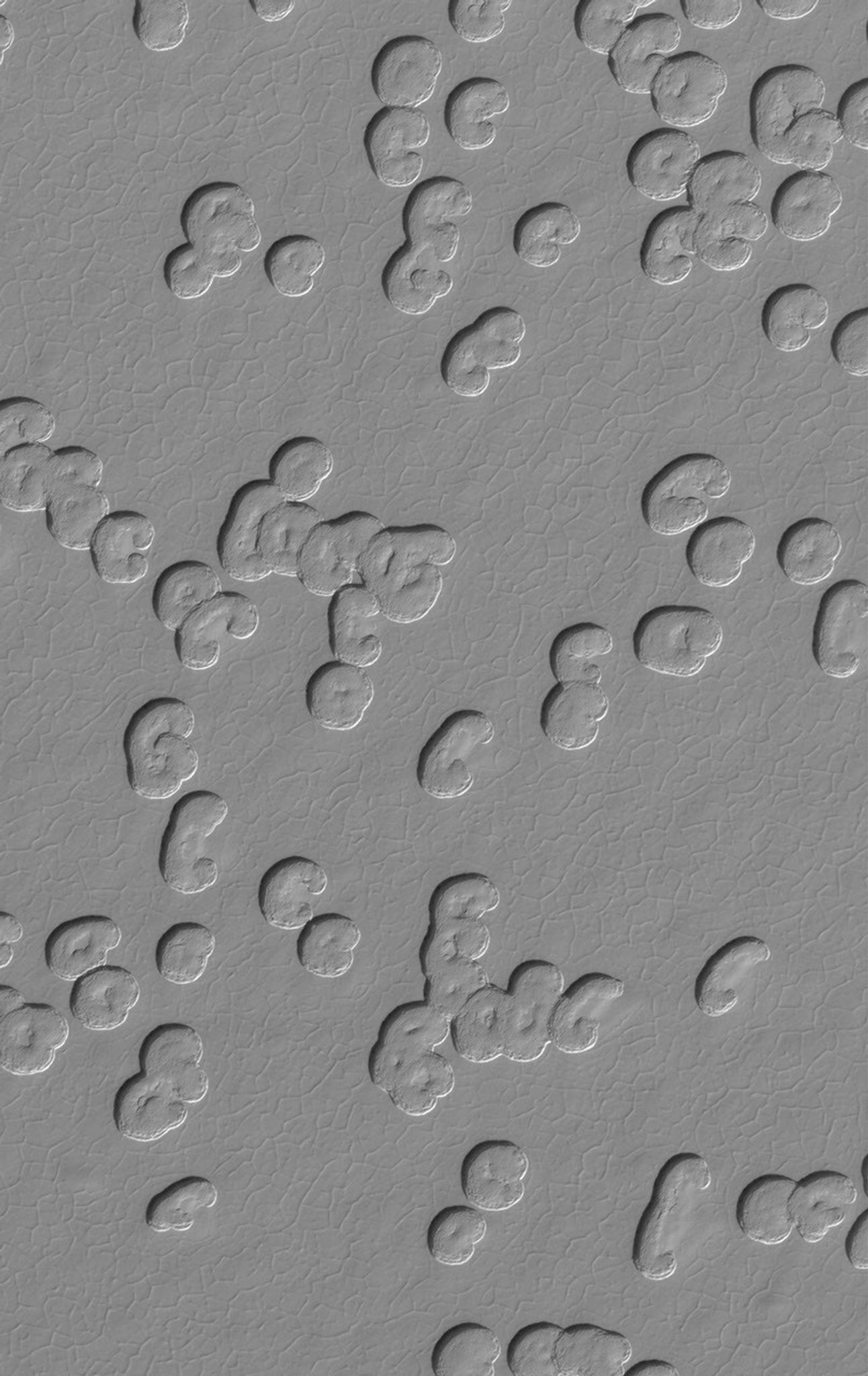 Polar Cap Pits - NASA Science