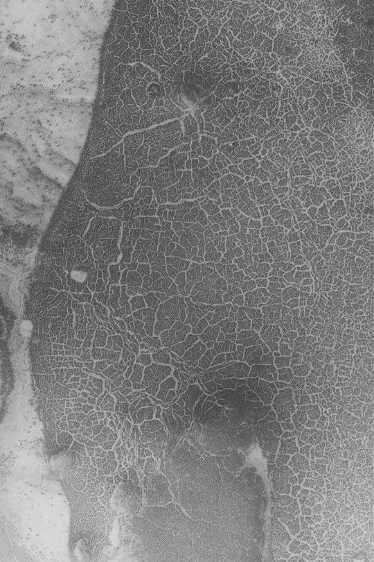 Polar Polygon Patterns - NASA Science