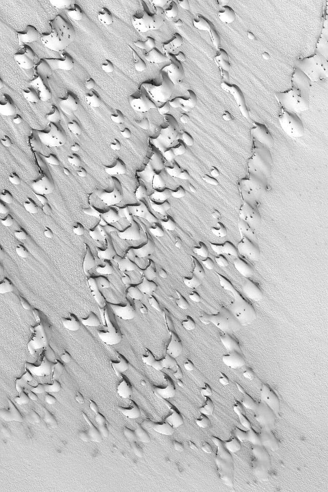 Chasma Boreale Dunes - NASA Science