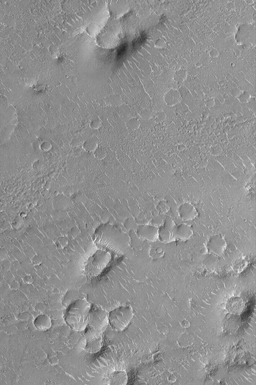 Isidis Planitia - NASA Science