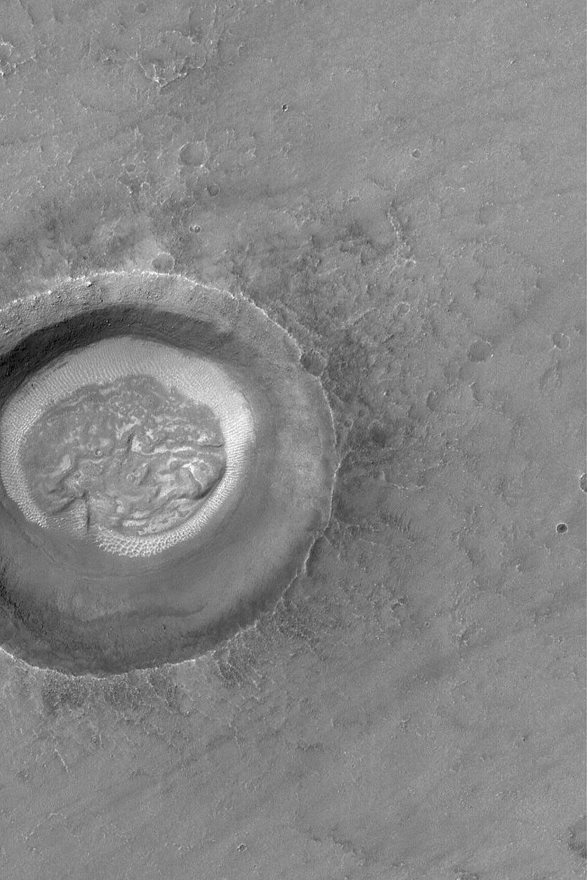 Martian “Brain” - NASA Science