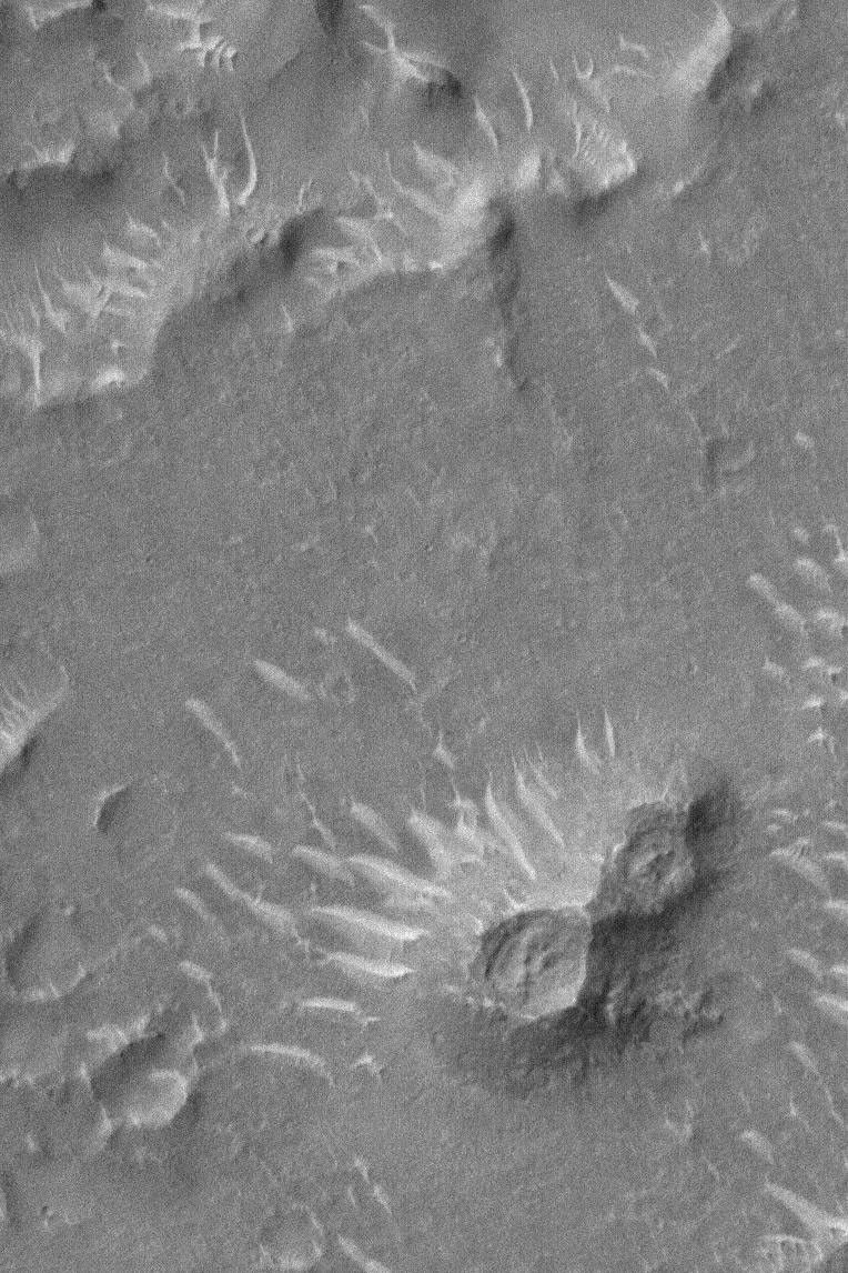 Isidis Planitia Features - NASA Science