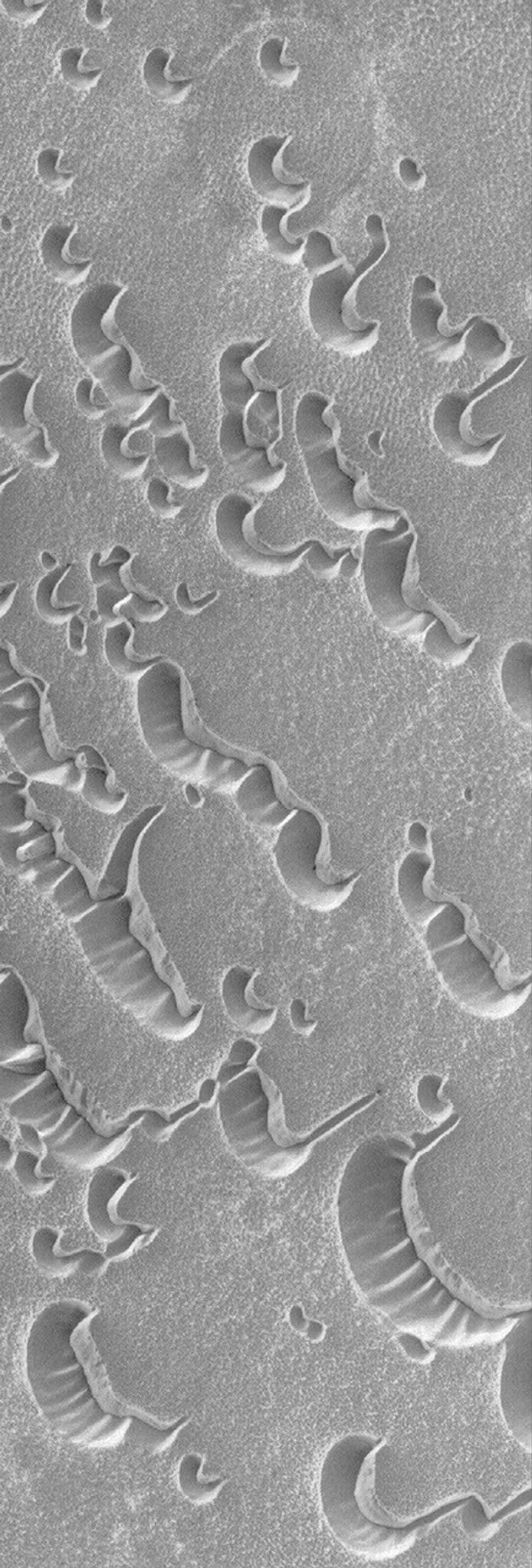 Polar Shells - NASA Science