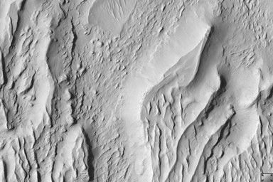 Sinuous Ridges Near Aeolis Mensae - NASA Science