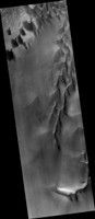 Which Came First? - NASA Science