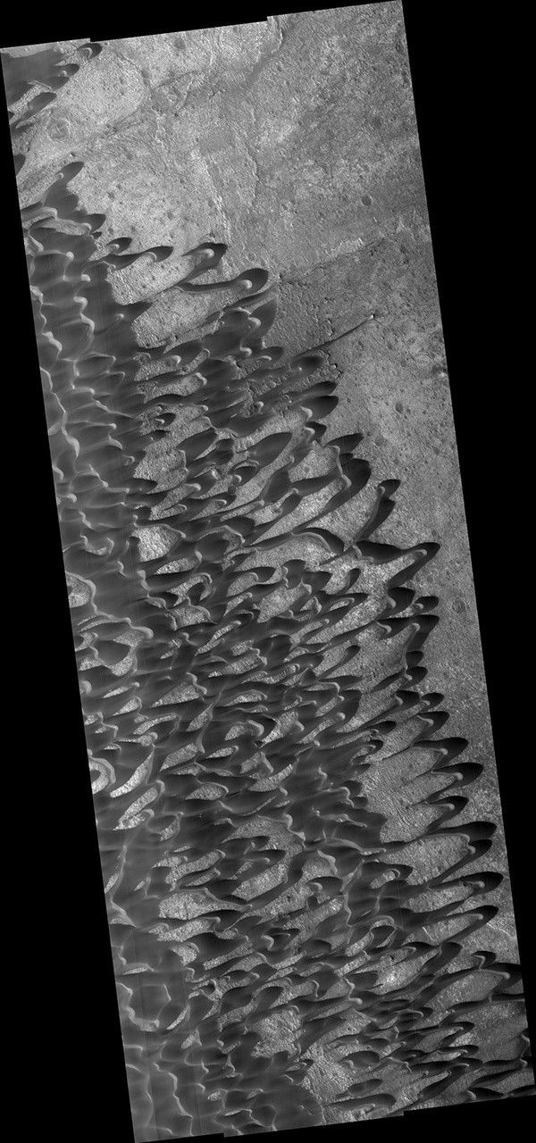 A Dune Field Near Nili Patera - NASA Science