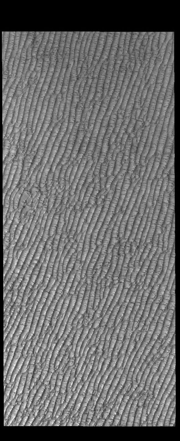 Olympia Undae - NASA Science