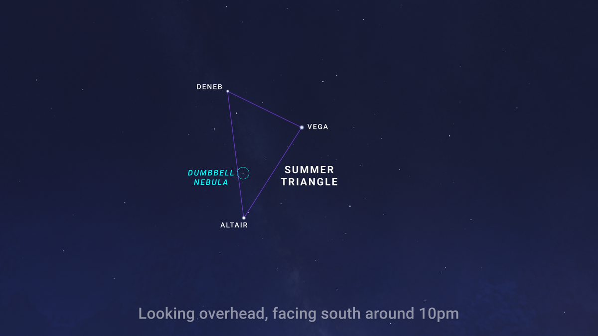 What's Up: August 2025 Skywatching Tips from NASA - NASA Science