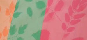 Construction Paper Sun Prints Activity - NASA Science