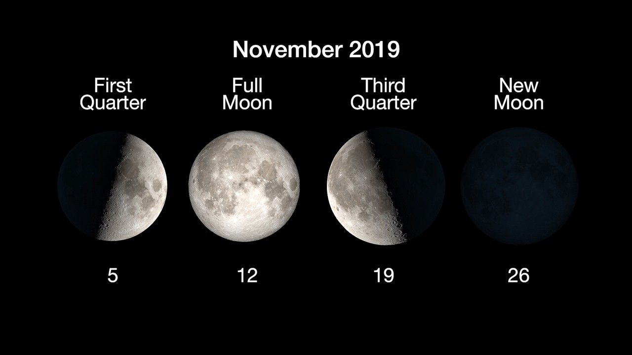 What's Up: November 2019 [Video] - NASA Science
